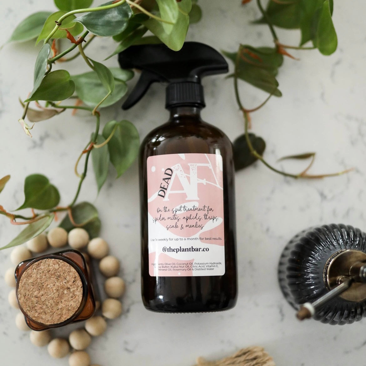 Dead AF Insecticide Plant Spray | Baker City, Oregon — The Succulent Hub