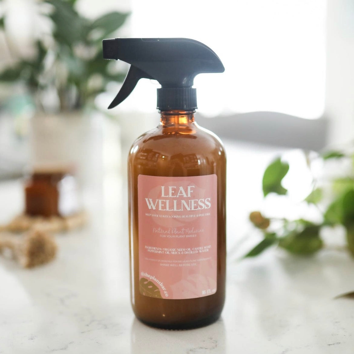 Leaf Wellness Plant Spray | Baker City, Oregon — The Succulent Hub